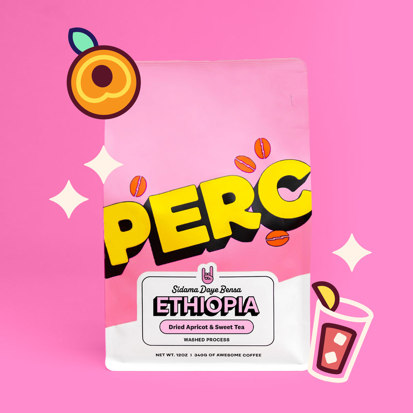 Archive: Ethiopia Sidama Daye Bensa – PERC COFFEE